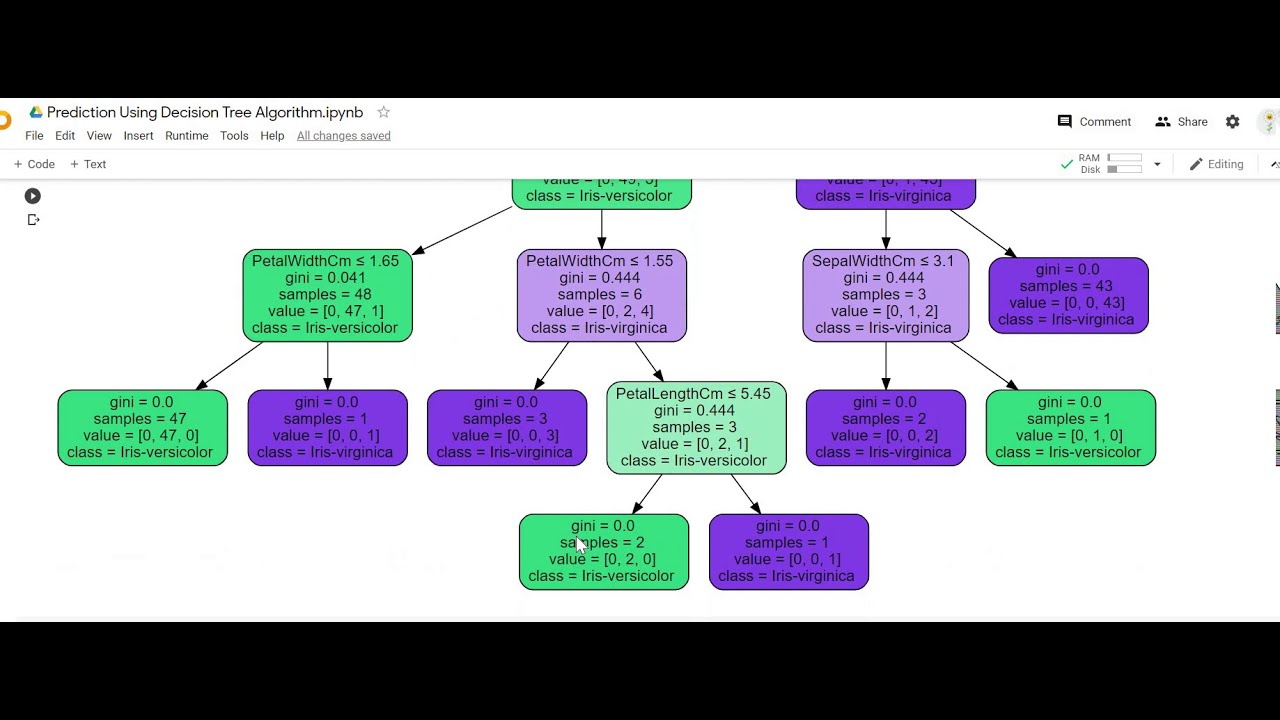 Prediction Using Decision Tree on Iris Dataset - YouTube
