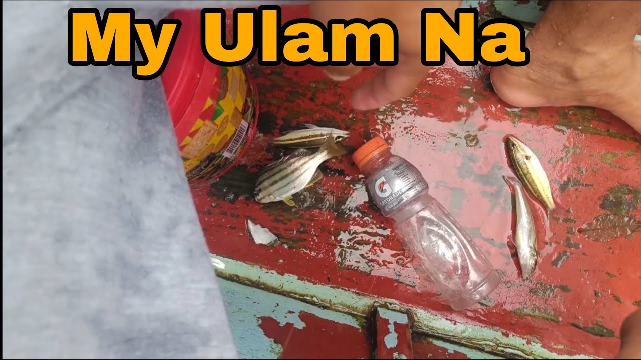Part 3 | Handline fishing my pang ulam na si Katuba ...