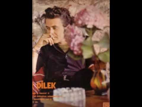 Zafer Dilek - Süpürgesi Yoncadan - Enstrümantel
