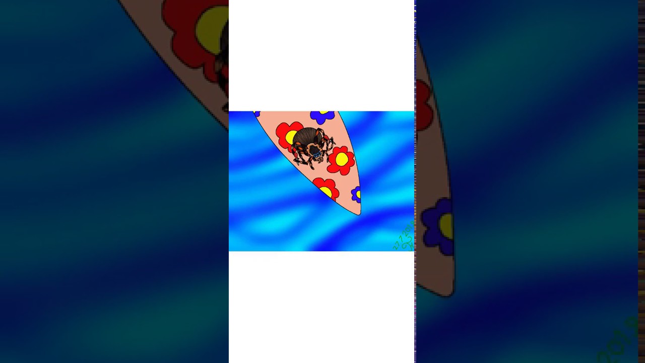 Surfing spider - YouTube