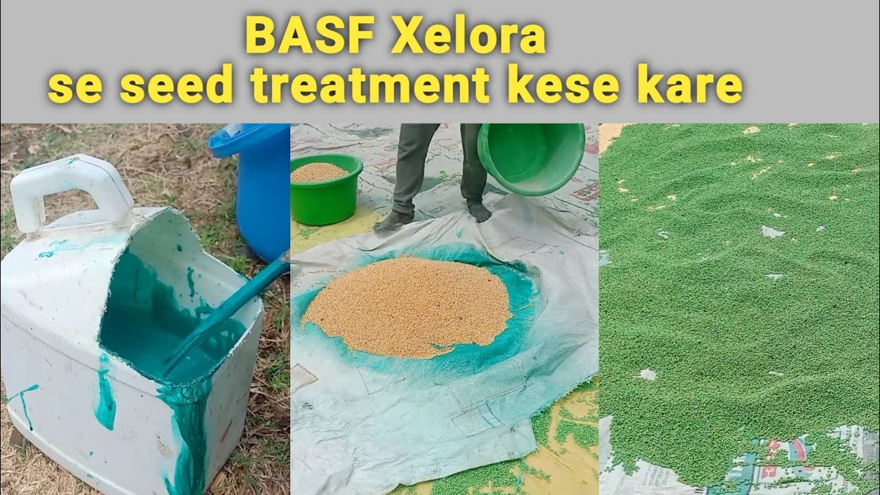Xelora | xelora fungicide basf | xelora fungicide technical | xelora ...