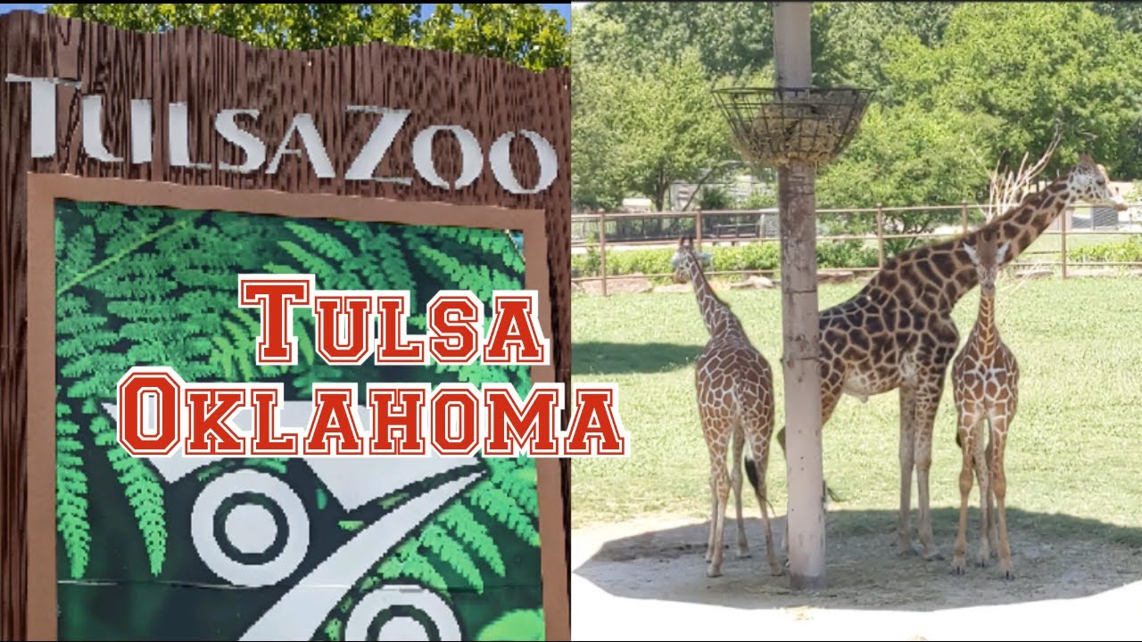 Tulsa Zoo || Tulsa Oklahoma Zoo #TulsaZoo #mjriggs - YouTube