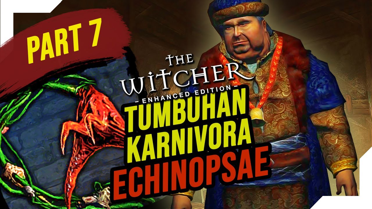 Berburu Drowned Dead, Ghoul, dan Meyakinkan Odo. The Witcher Enhanced ...