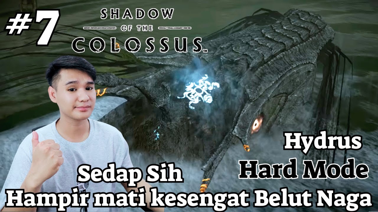 Hydrus Colossus #7 - Shadow Of The Colossus Indonesia - Hard Mode - YouTube