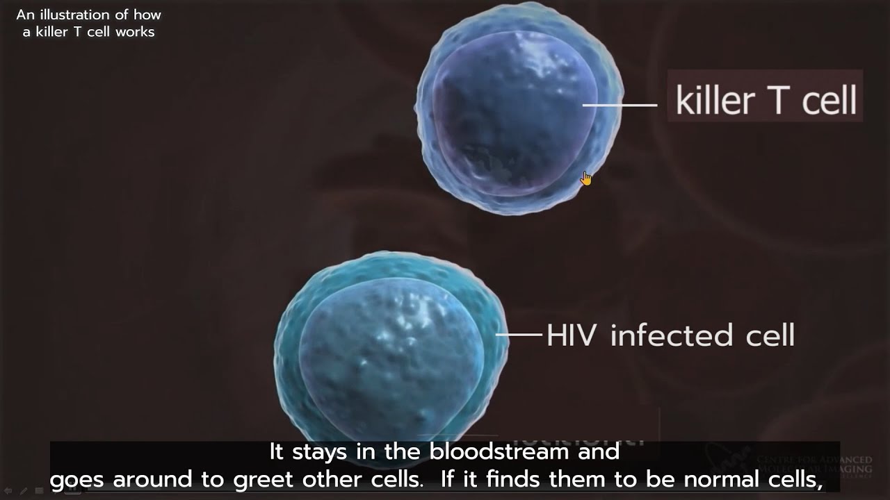 Rapidly reduces HIV viral load with Killer T cells (CD8) - YouTube