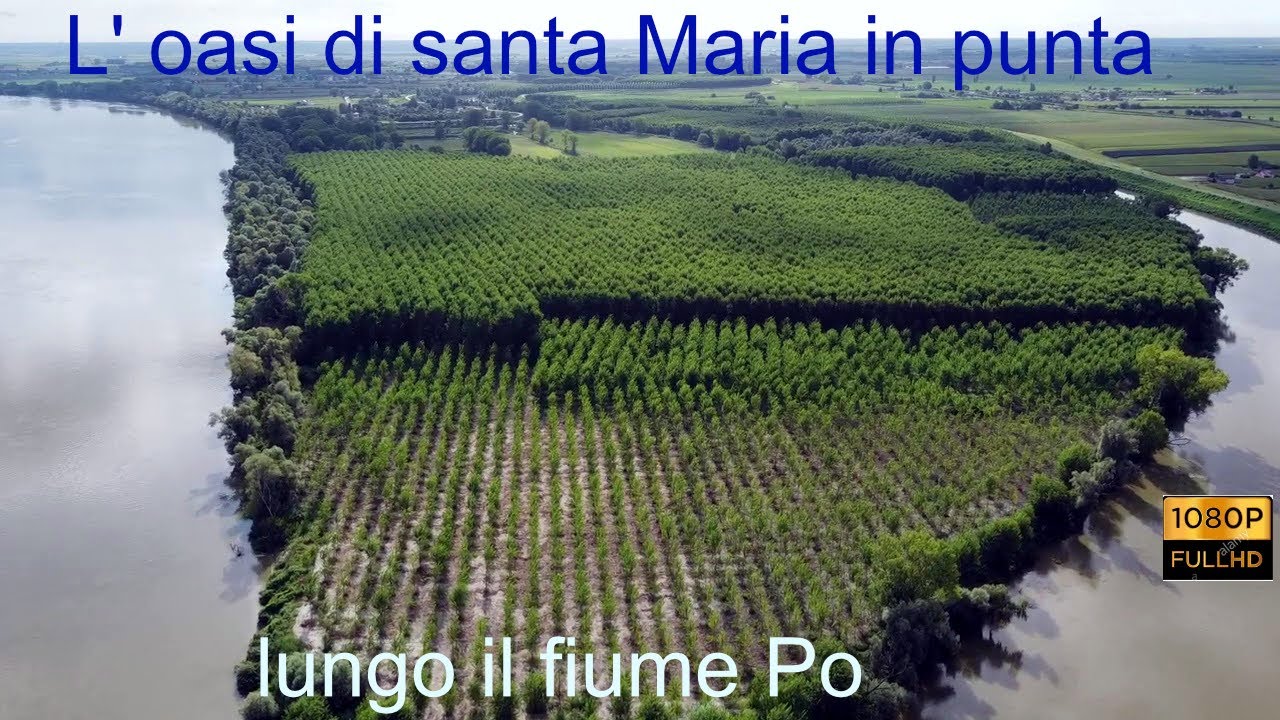 l' oasi di Santa Maria in punta (reloaded 2020) lungo il fiume Po - YouTube
