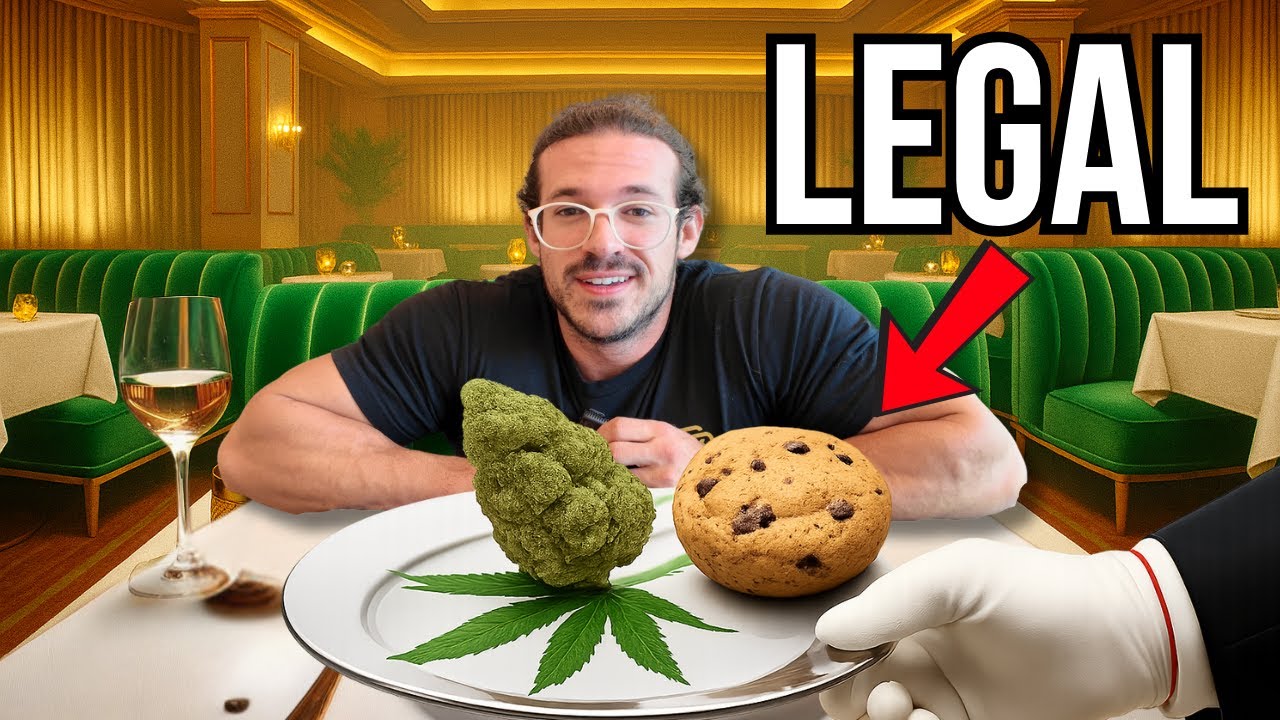 I Reviewed Legal Weed Lounges - YouTube