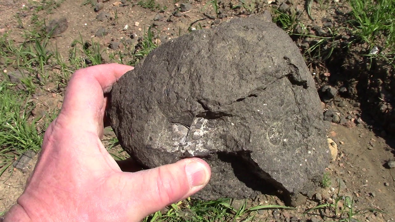 Crater of Diamonds Collecting Magmatic Lamproite Specimens - YouTube