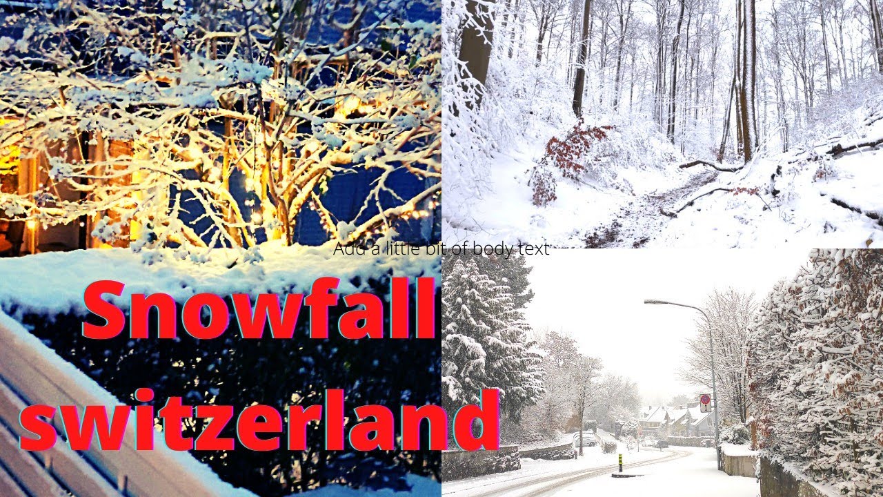 Heavy Snowfall in Switzerland Europe || সুইজারল্যান্ডে তুষারপাত কেমন ...