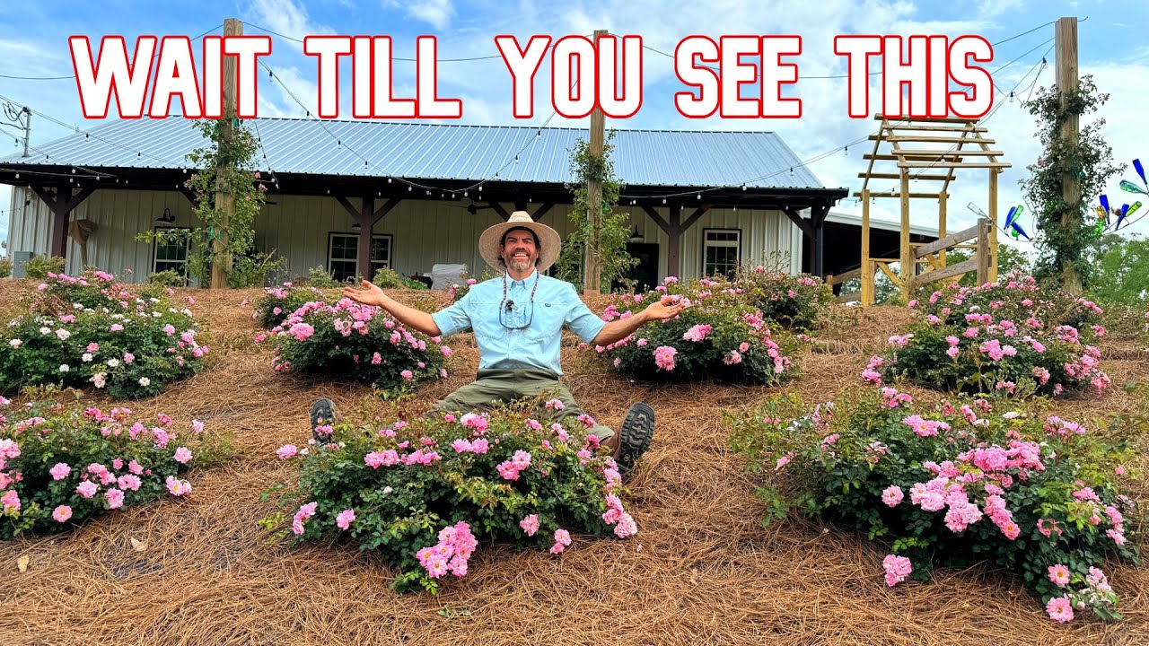 NEW Farm & Garden Tour of Our Small Farm in the Spring (Cannot Wait To ...