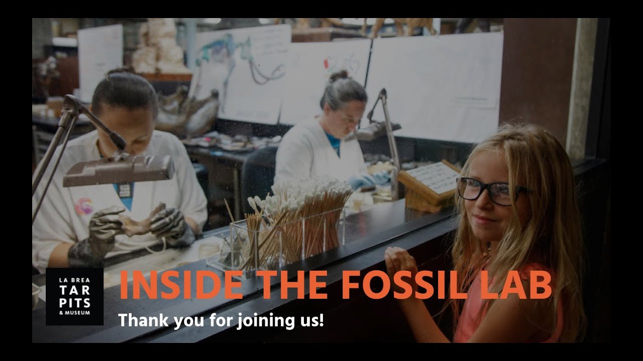 Inside the Fossil Lab: Teeth - YouTube