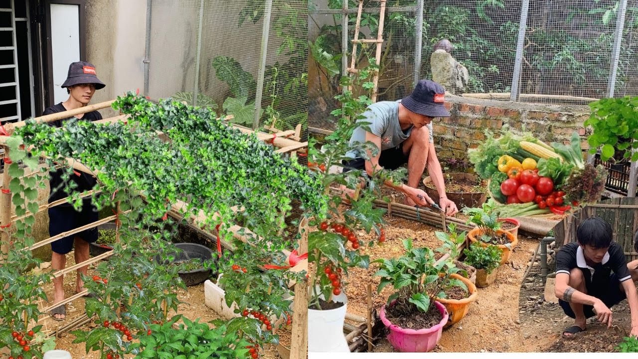 FULL VIDEO: 65 days of backyard gardening, tilling soil, making ...