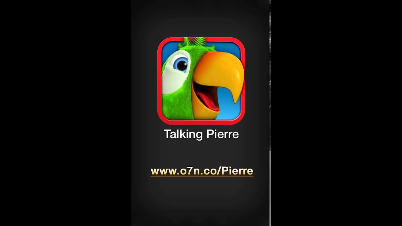 Talking Pierre the Parrot - YouTube