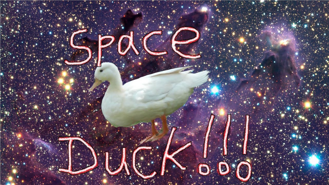Space Duck - YouTube