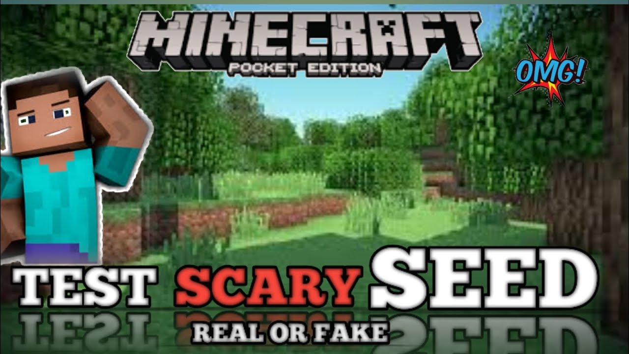 TEST MINECRAFT SCARY SEED (REAL OR FAKE)😱 - YouTube