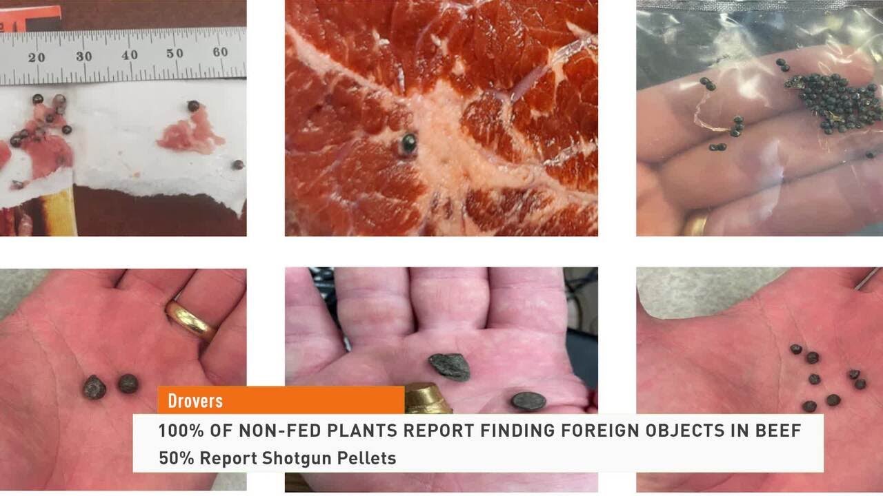 Foreign Material in Beef - YouTube