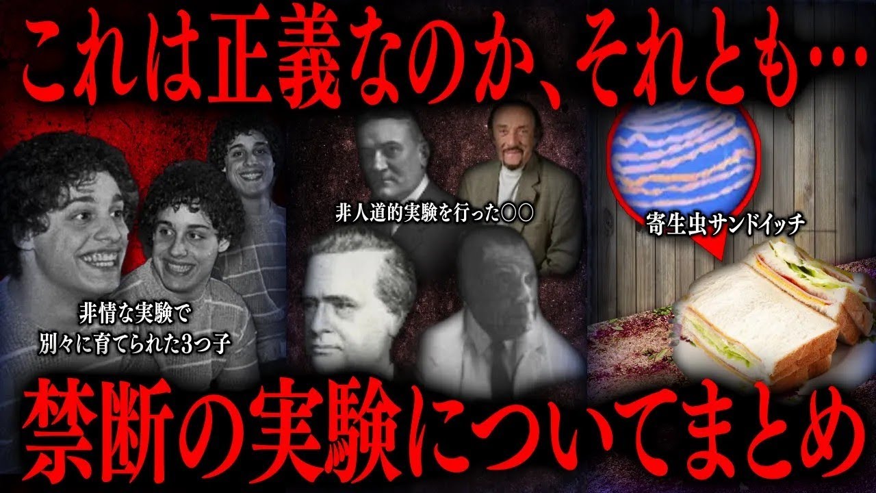 【切り抜き】禁断の実験についてまとめ【たっくーTV 作業用】 - YouTube