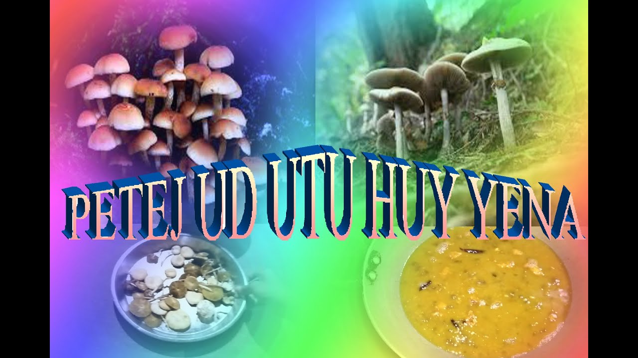 PETEJ UD UTU HUY YENA||ALIVA NEW VLOG||@ALIVA MARNDI - YouTube