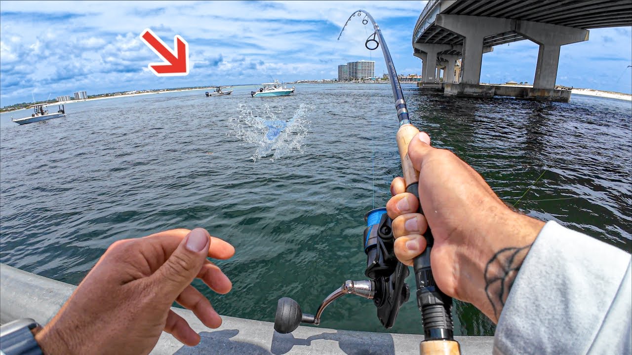Everyone Caught Big Fish At This Gulf Pier! - YouTube