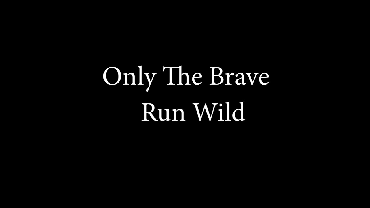 Only the Brave Run Wild - Sounds Like Sander: Song Lyrics, Music Videos ...