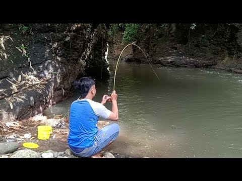 ASTAGHFIRULLAH!! Mancing sehabis hujan ikan nya ganas" sampai babon nya ngamuk.... - YouTube