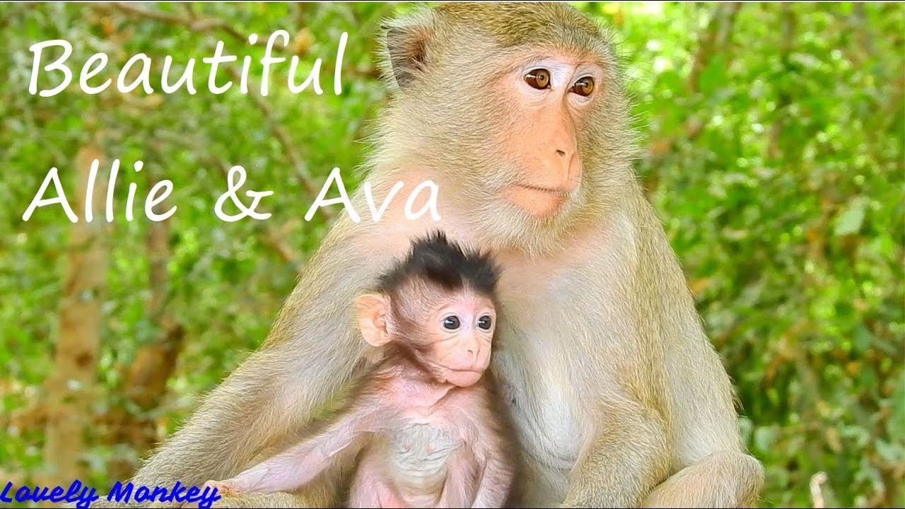 Morning From Baby Allie! Look Allie S0 Brightening & Beautiful! Cute ...