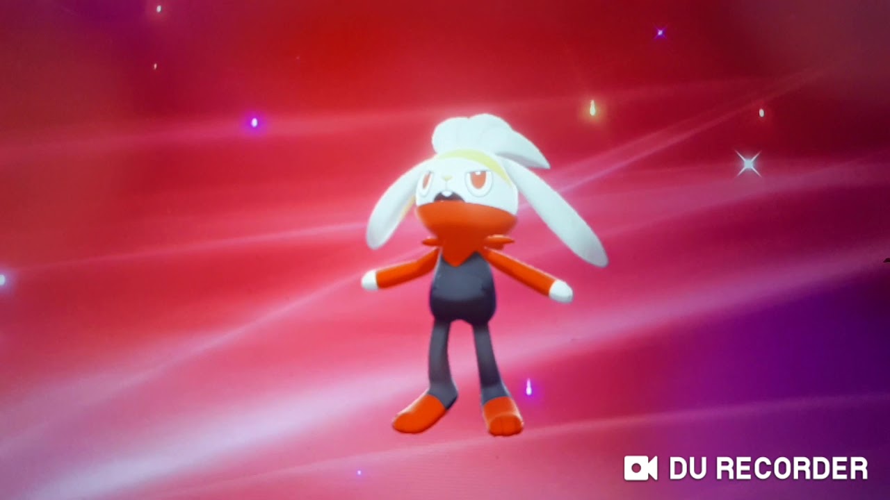 Evolution Flambino à Lapyro à Pyrobut Pokemom Épée / Bouclier - YouTube