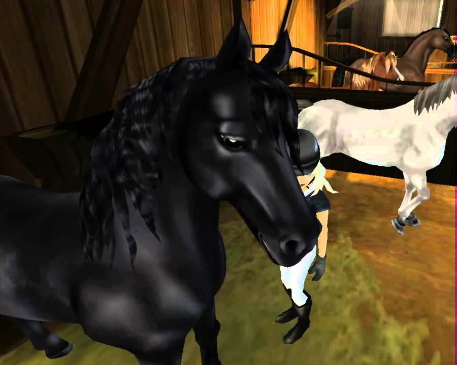 Star Stable Online - buying black Morgan - YouTube