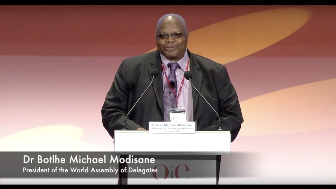 Dr Botlhe Michael Modisane - YouTube