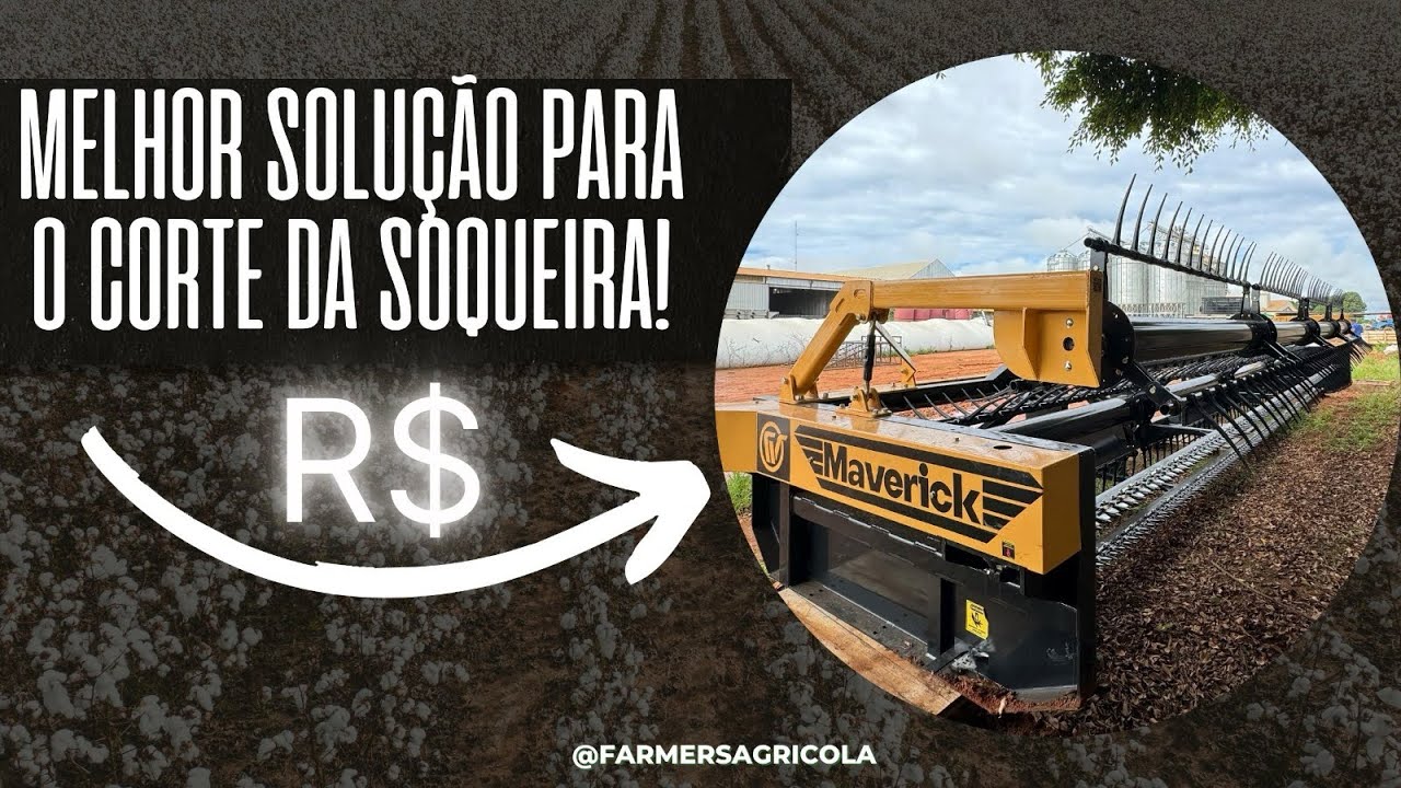 MELHOR SOLUÇÃO PARA O CORTE DA SOQUEIRA DO ALGODÃO - YouTube