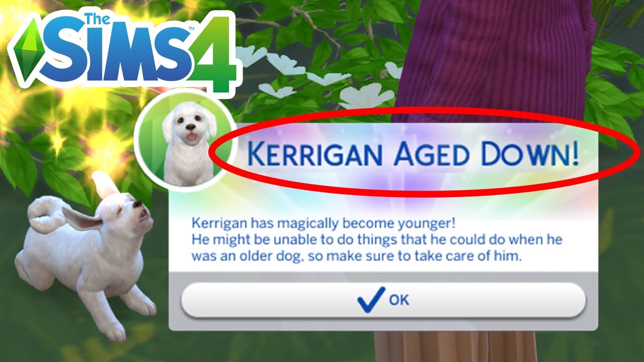 How To Age Down Pets (Without Cheats) - The Sims 4 - YouTube
