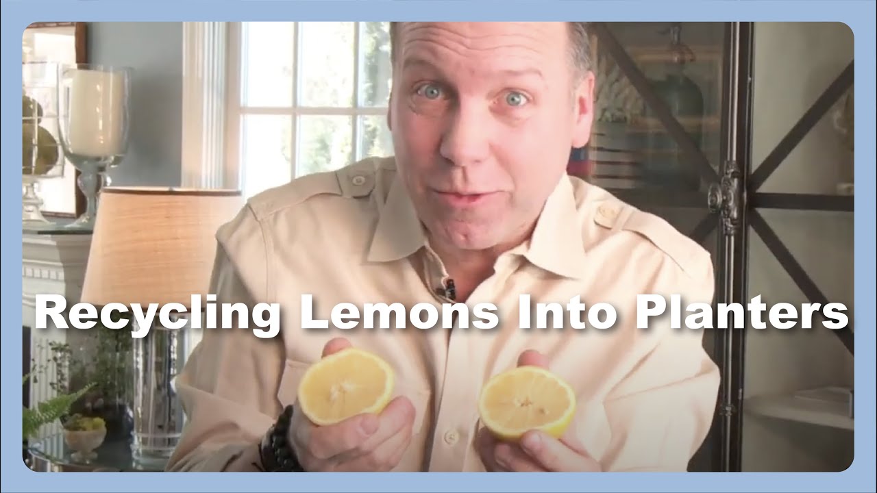 How To Recycle Lemons into Planters - Mission Repurpose With Mar ...