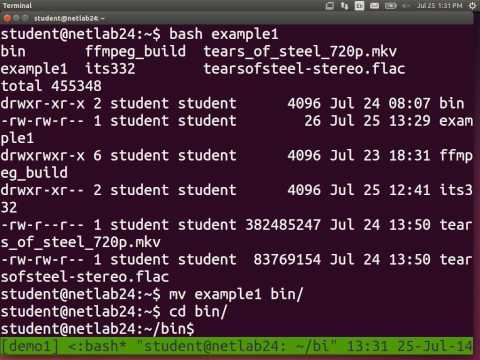 Linux Command Line - Bash Scripting