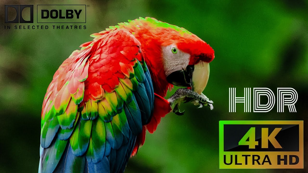 Best of Dolby Vision 4K HDR 120fps #4k - YouTube