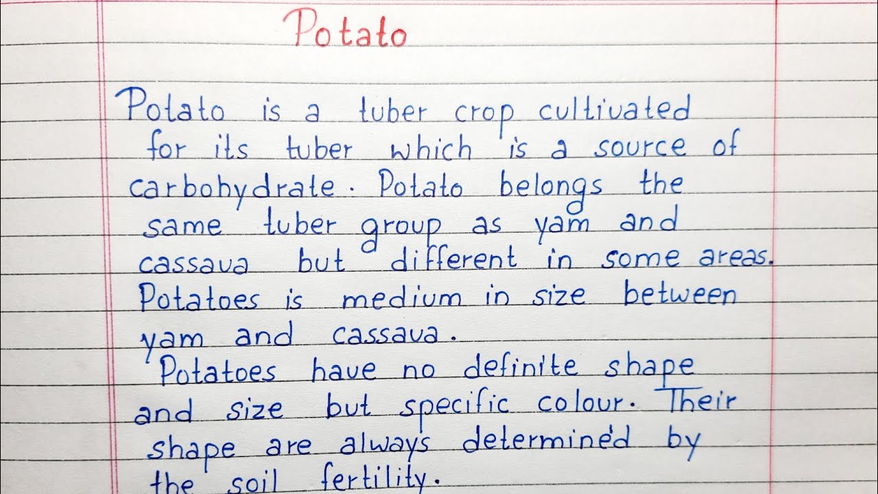 Write a short essay on Potato | Essay Writing | English - YouTube