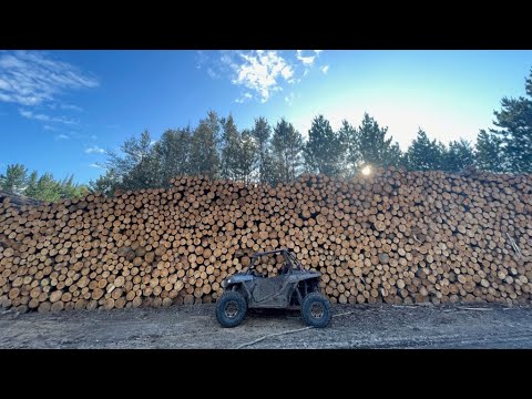 A ride through logging country @redneck.entertainment - YouTube