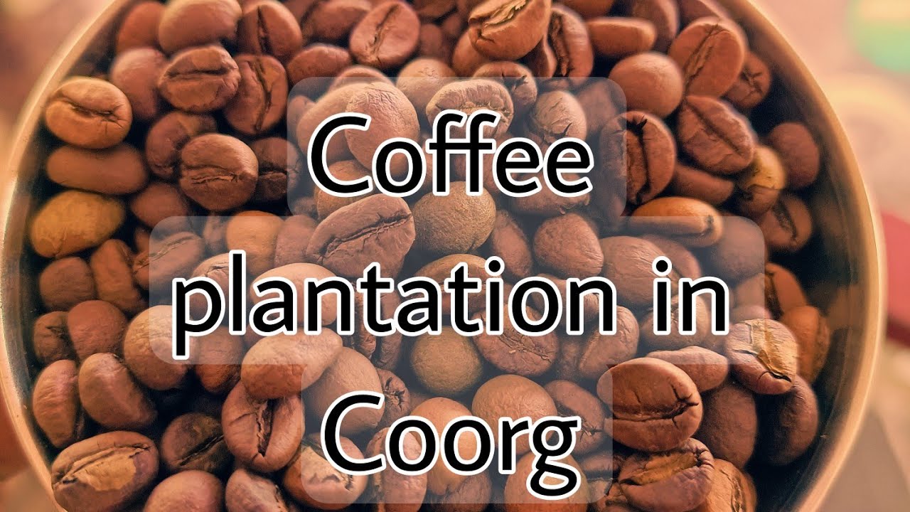 Exploring the Rich Aroma and Flavors of Coorg Coffee: A Journey Through ...