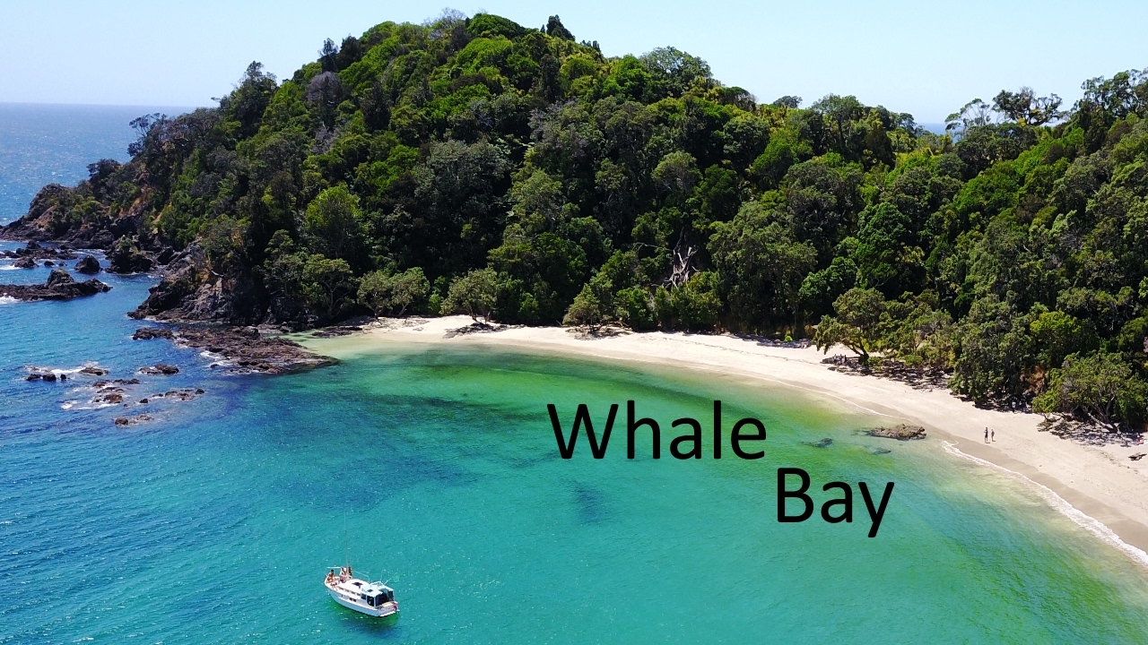 Come fly with me to: | Whale Bay, Tutukaka | - YouTube
