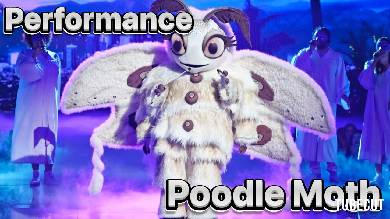 Poodle Moth Sings “The Hills” Theme Song - MASKED SINGER S11 E4 (TV ...