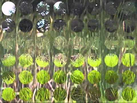 Exploding Cat tails! - YouTube