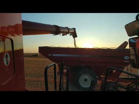 CASE IH 8250 Fully Automated Combine - YouTube