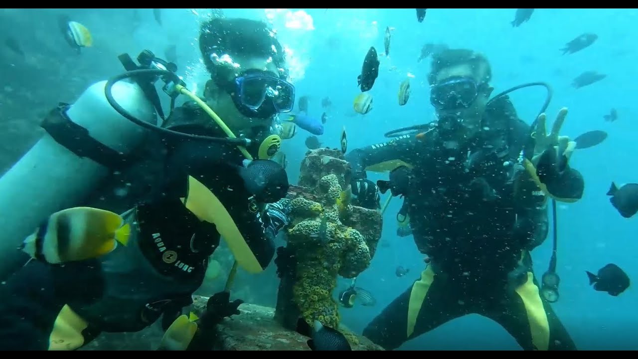 Scuba Diving, Shark Resort, Cathedral, Anilao, the Philippines - YouTube