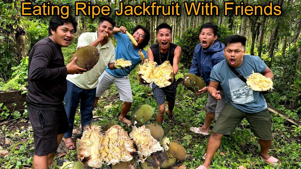 Eating Ripe Jackfruit With Friends || Our Organic Jackfruit Farm ...