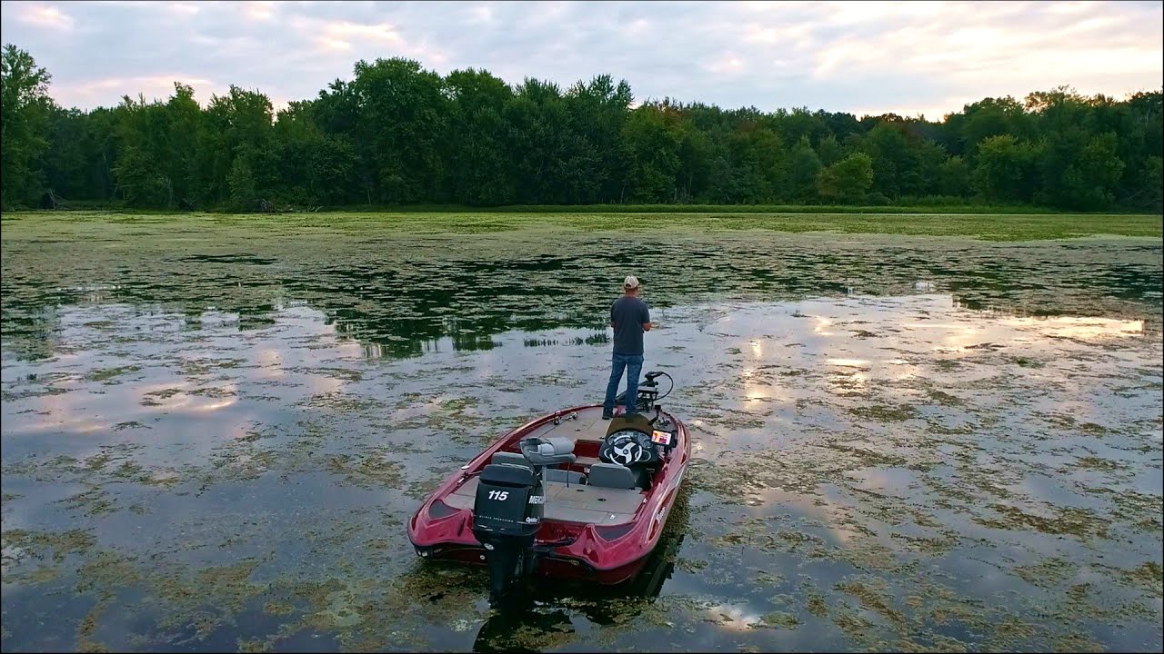 Fishing Frogs in the Slop - YouTube