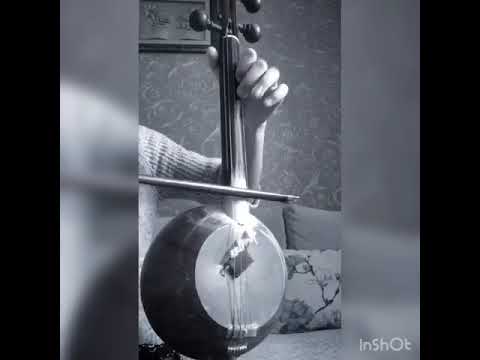 #shorts FON Muzigi🥀