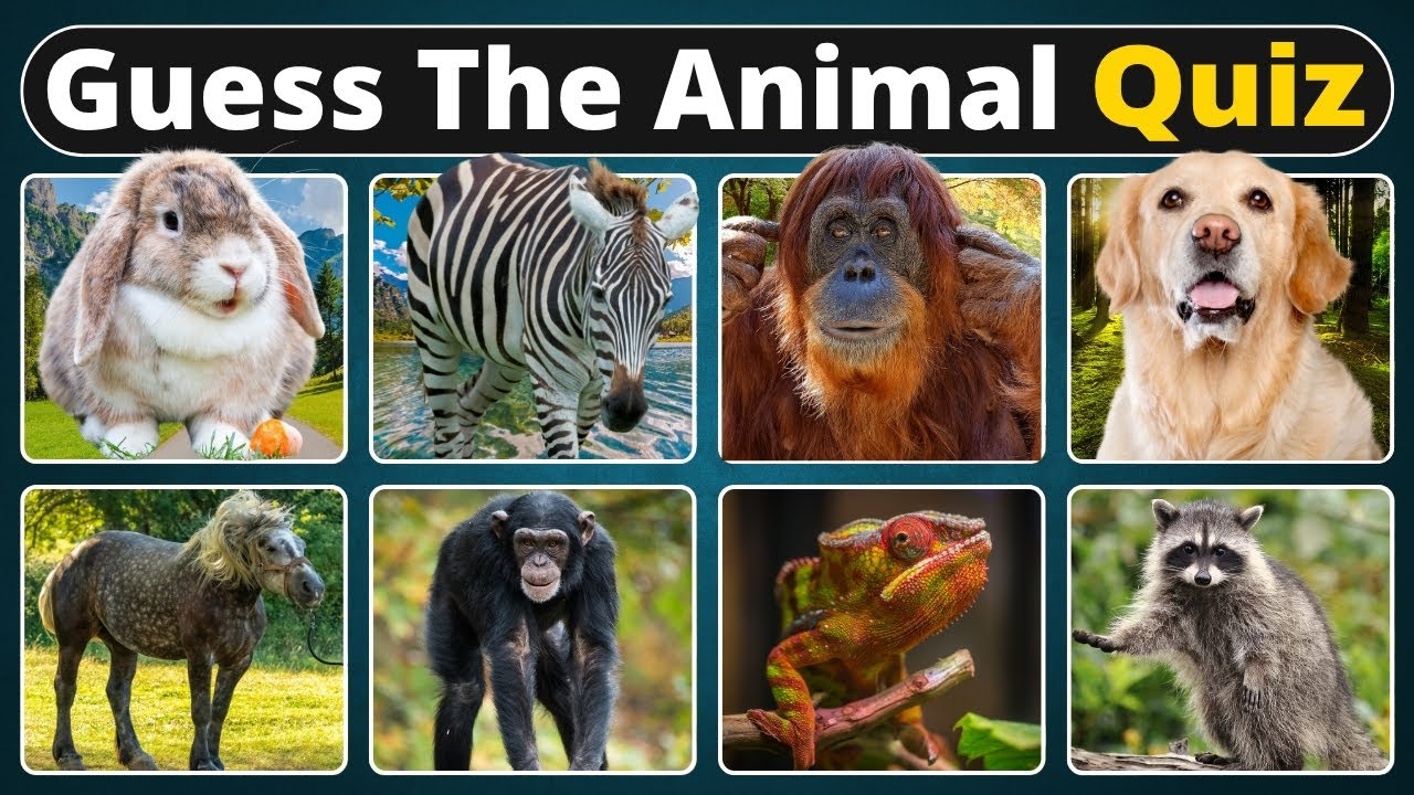 🧠 Fun Animal Riddles Challenge | Guess The Animal | Part 5 | Helian GK ...