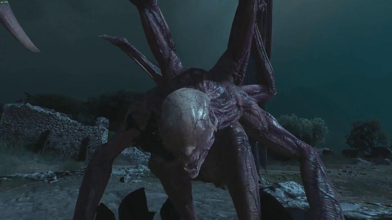 The Witcher 3: Wild Hunt/Blood and Wine - Detlaff Final Boss Fight ...