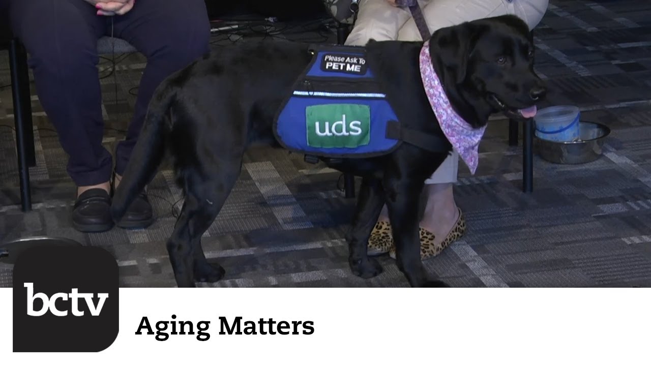 UDS Service Dogs | Aging Matters - YouTube