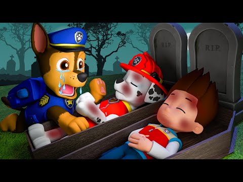 Goodbye! R.I.P RYDER x Marshall - Don't Leave Chasel Alone | Sad Story | Paw patrol Ultimate Rescue