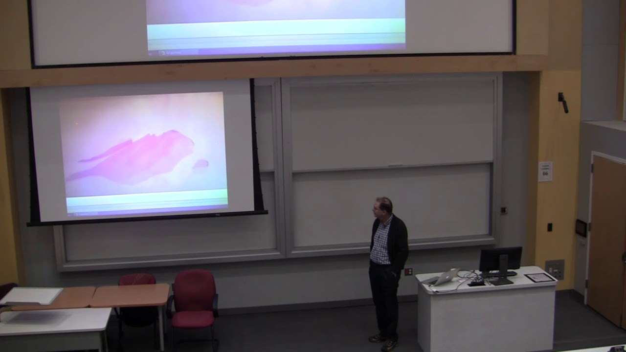 David Mandrus - Exfoliable Materials: Old Dogs Can Learn New Tricks ...